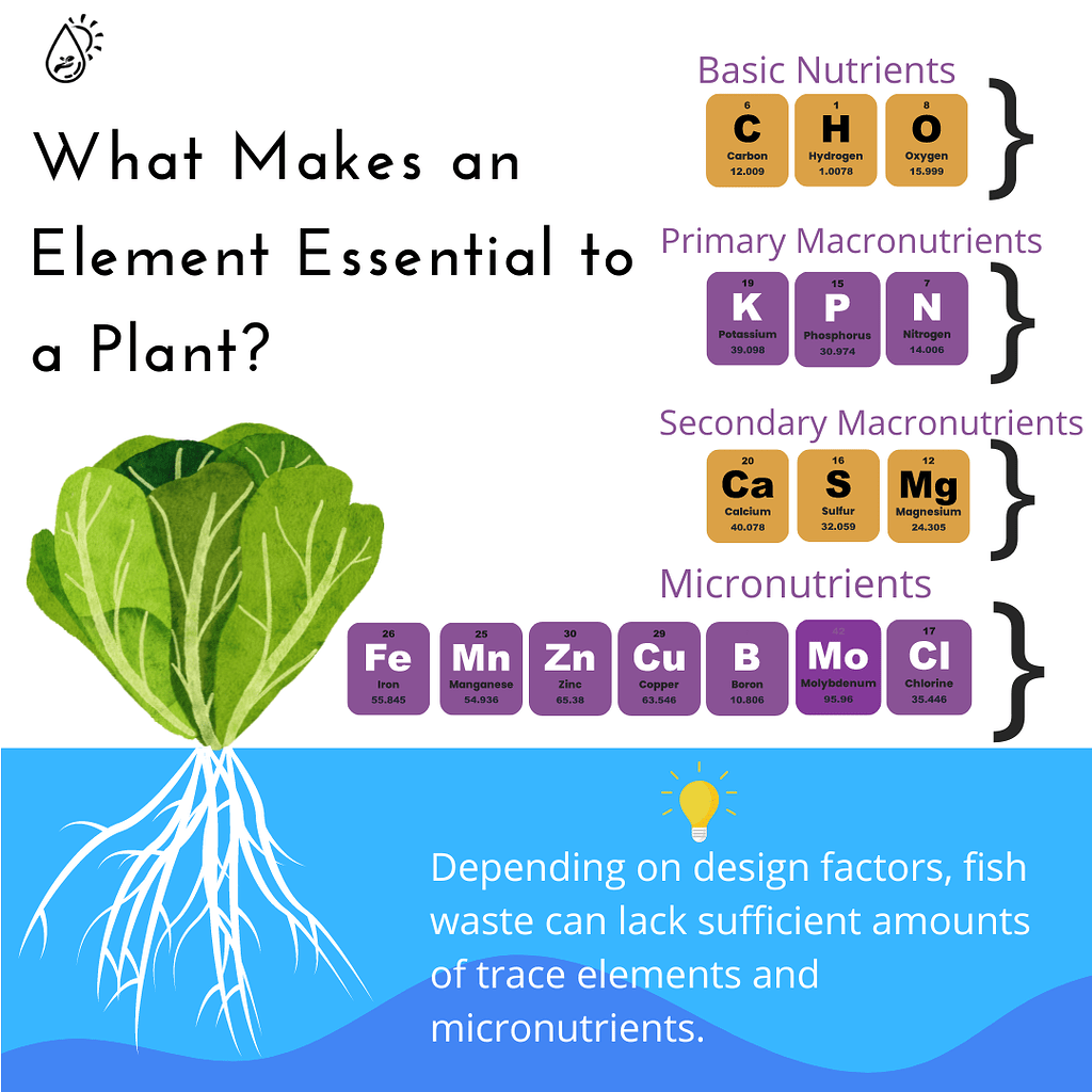 What Makes an Element Essential to a Plant? - The Aquaponics Association Community